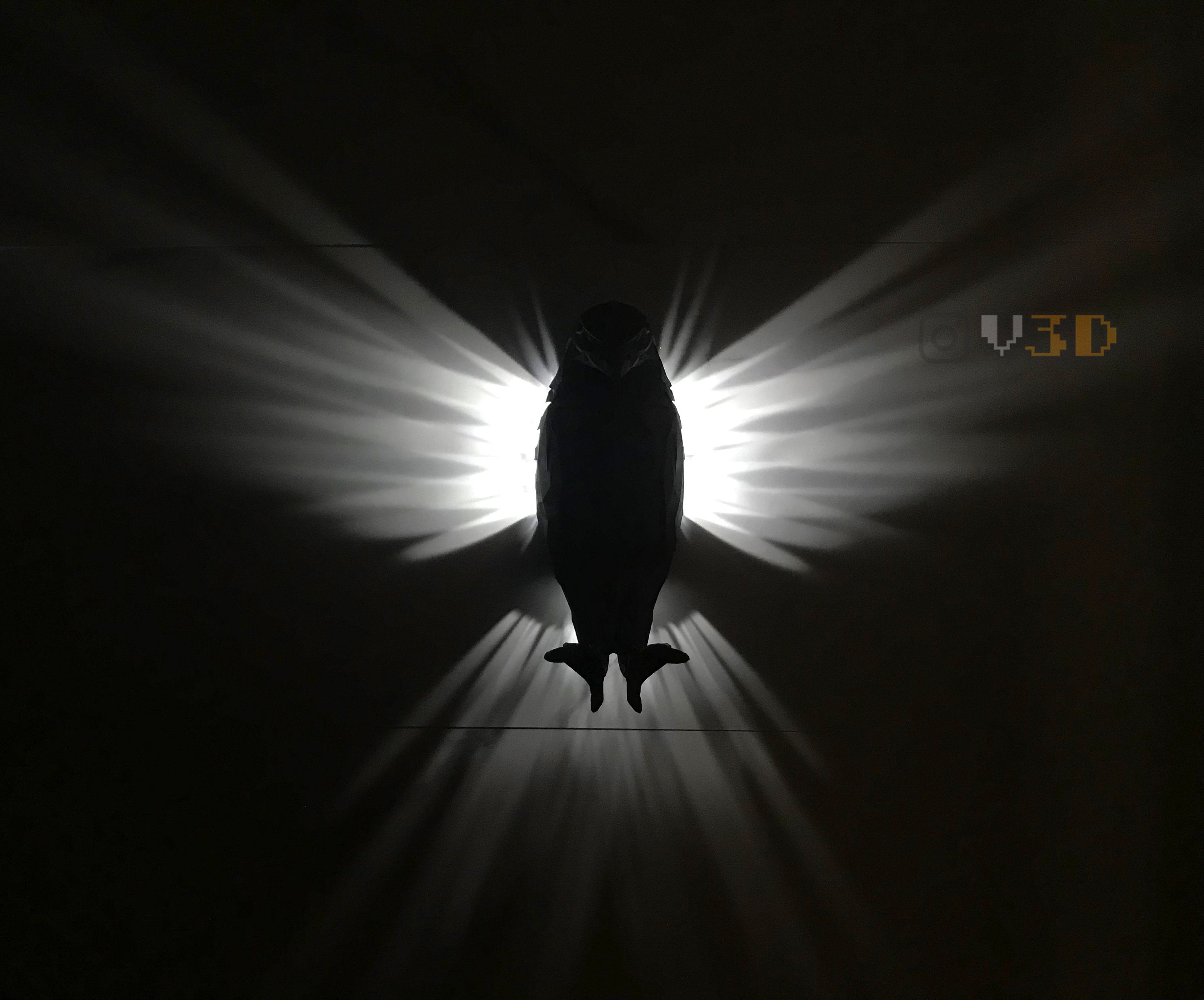 Eagle and Pegasus 3D Led Wall Lamp - Etsy