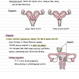 Abnormal GYN Ultrasound Notes - Etsy