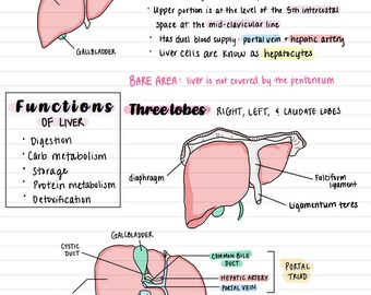 GI Disorder Notes Bundle Study Guide Digital Download - Etsy