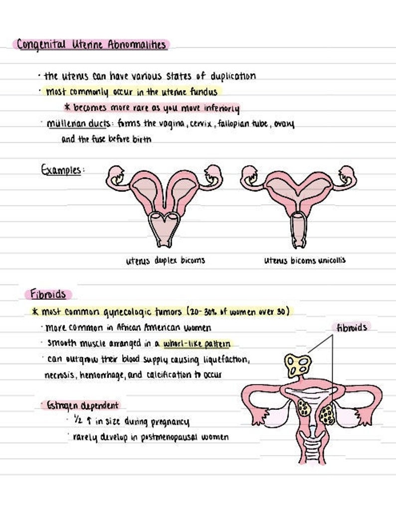 Abnormal GYN Ultrasound Notes - Etsy