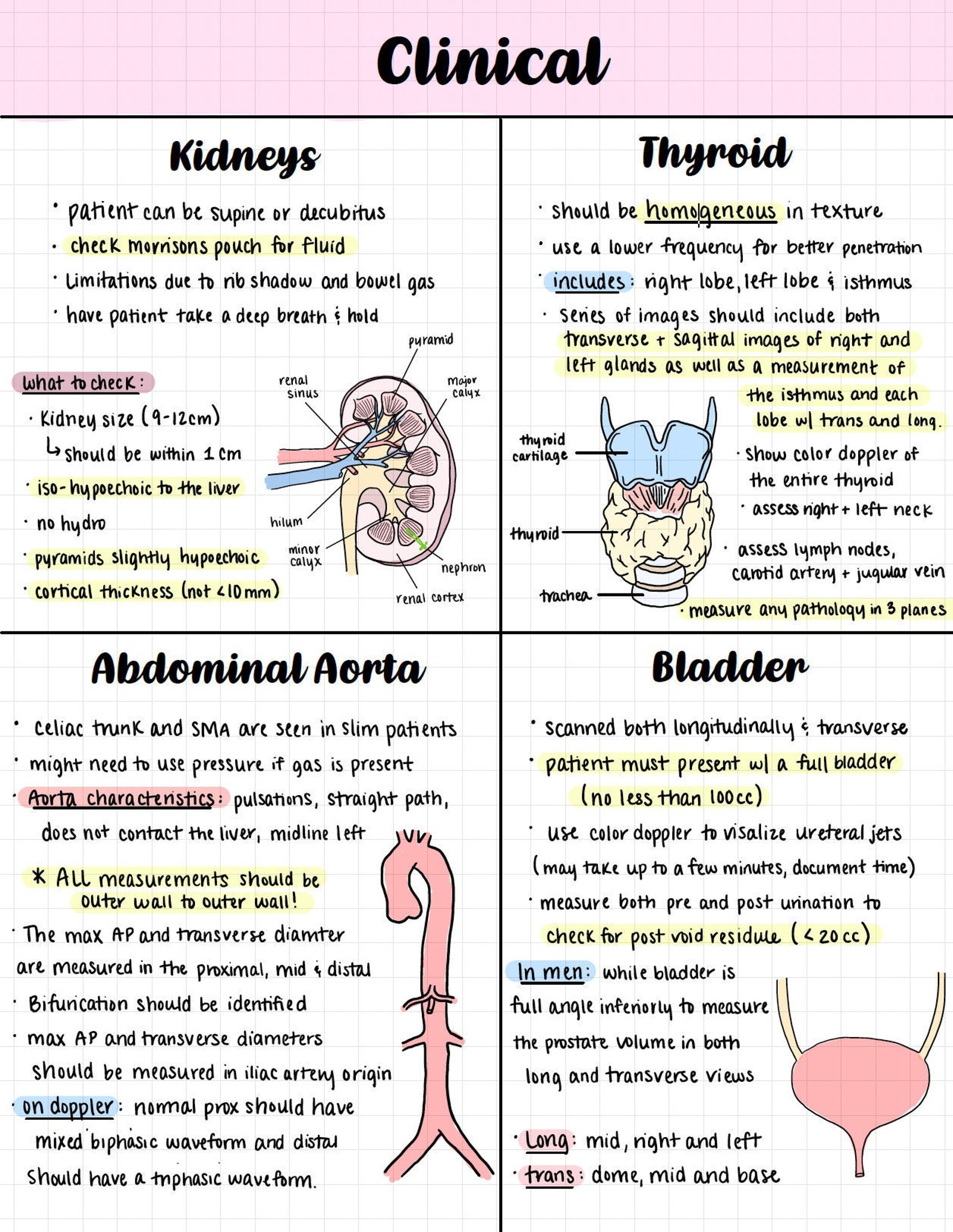 Clinical Notes - Etsy