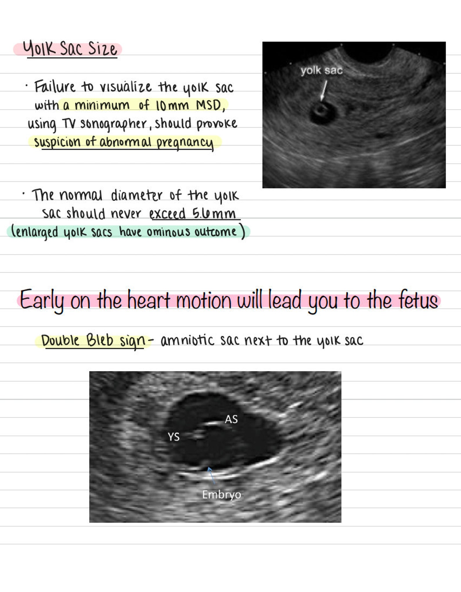 Unit 3: First Trimester OB Sonography - Etsy