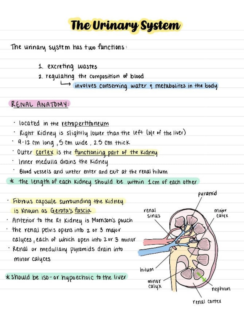 Handwritten Abdominal Ultrasound Notes Bundle Part 2 - Etsy