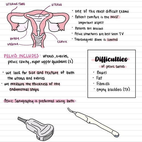 Intro to OBGYN Ultrasound Notes - Etsy