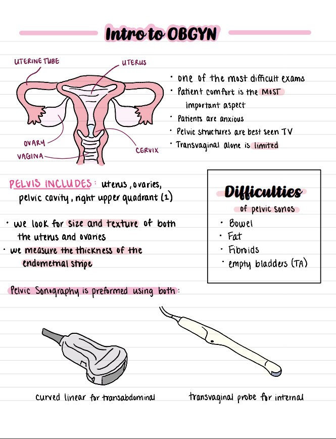 Intro to OBGYN Ultrasound Notes - Etsy