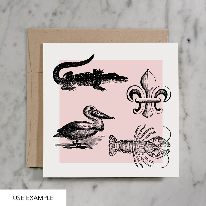 New Orleans Illustration Bundle: Vintage Etching Style (PNG EPS SVG) - Etsy