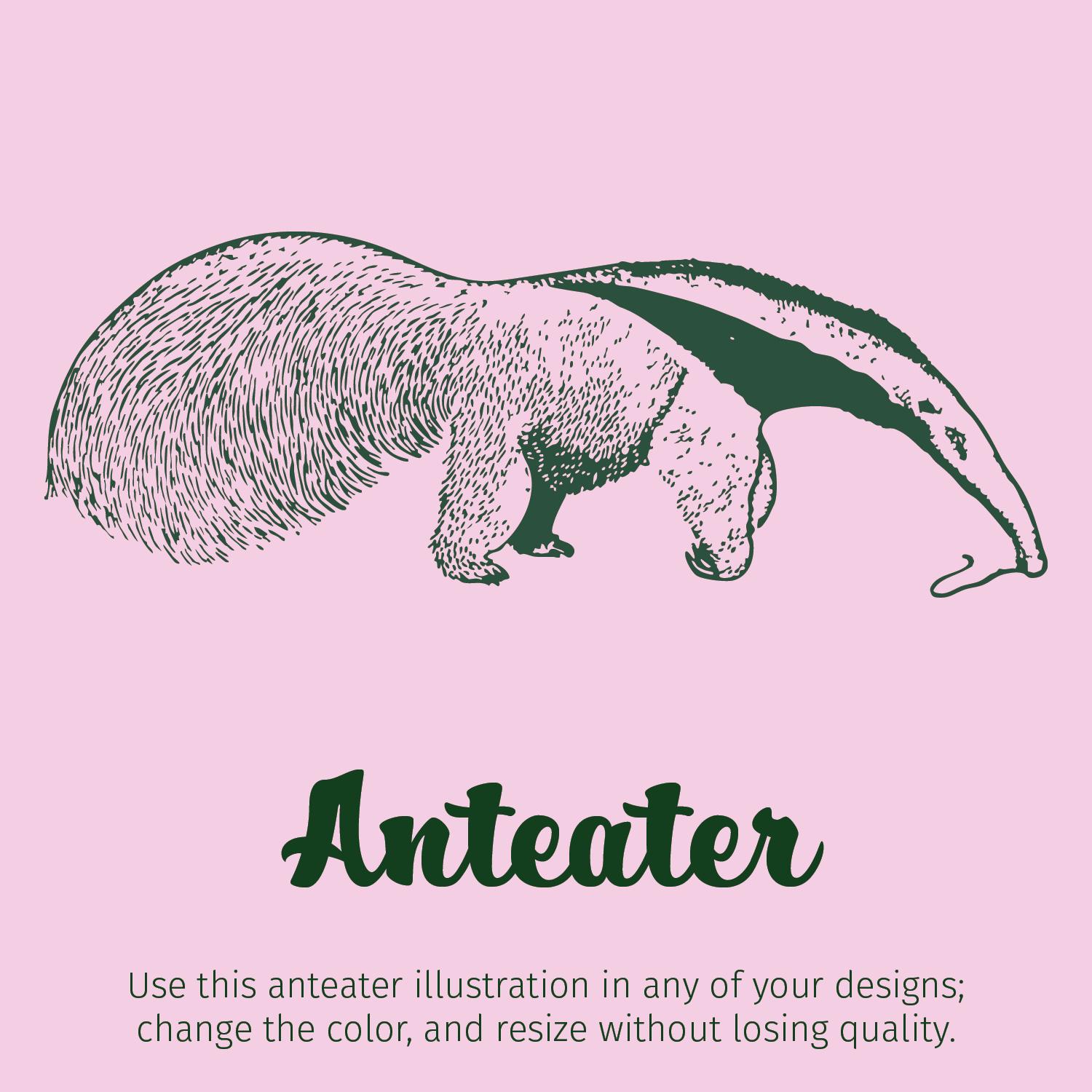 Anteater Vector Graphic: Vintage Etching Style Illustration (digital ...