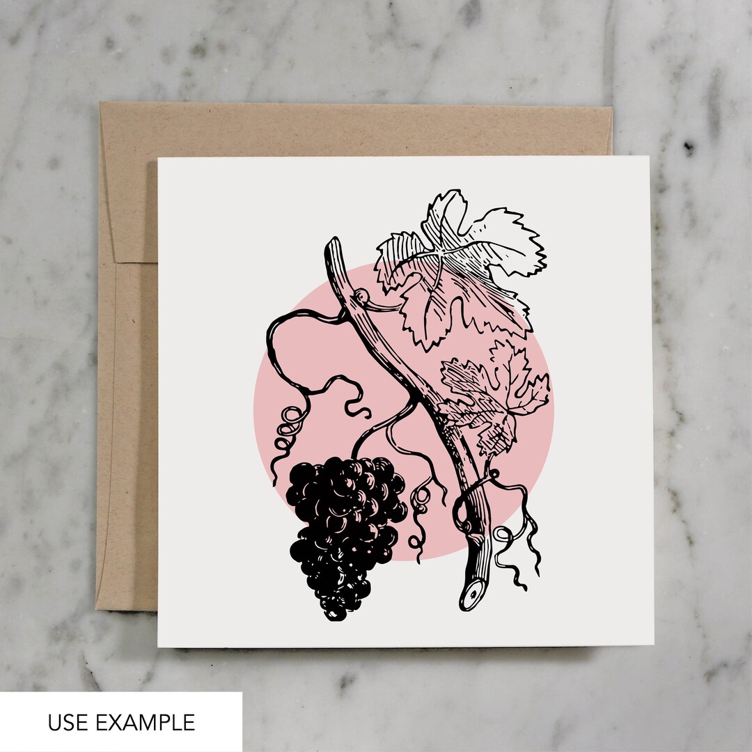 Grape Vine PNG EPS and SVG Vector Graphic Illustration Etching Style ...
