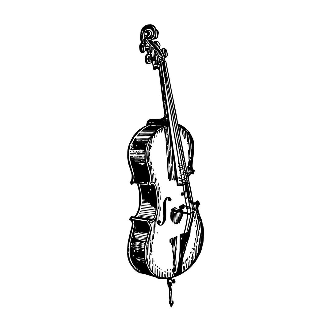Cello Illustration Vector Graphic: (digital Download), Jpg Eps Svg Png ...