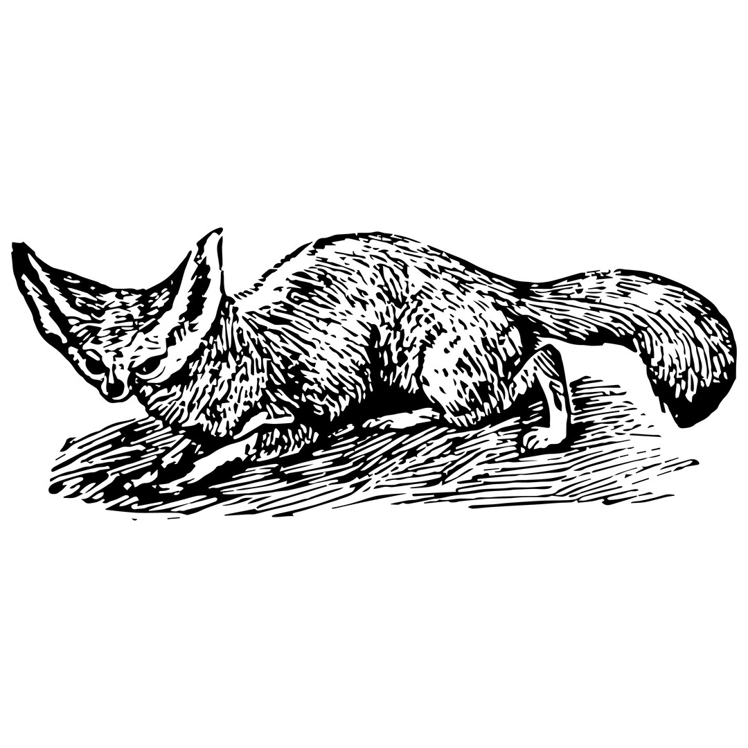 Fennec Fox Eps/vector Graphic - Woodcut Style Art - Vintage & Antique ...