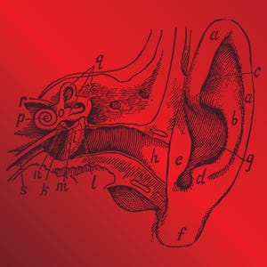Ear Anatomy Vector Graphic - Jpg Eps Svg Png - Illustration - Etching ...
