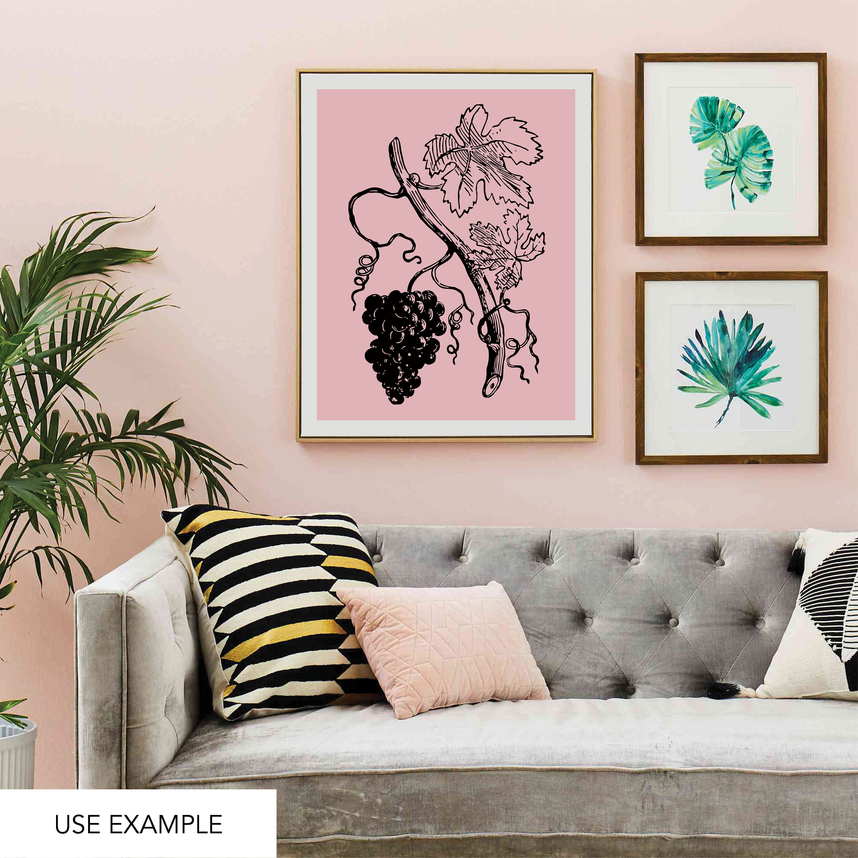 Grape Vine PNG EPS and SVG Vector Graphic - Illustration - Etching ...