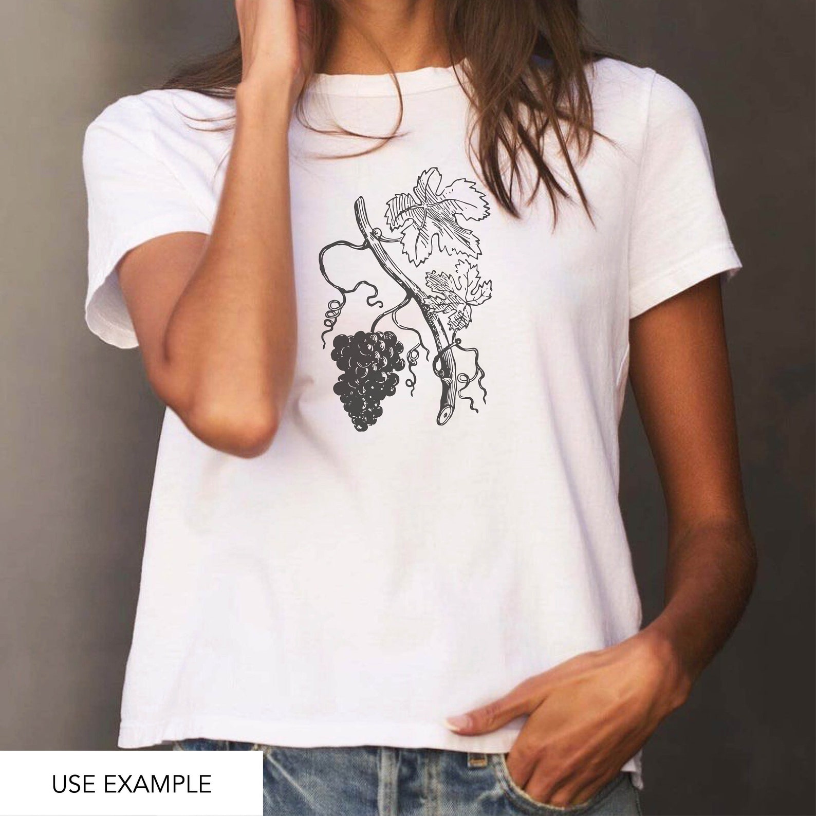 Grape Vine PNG EPS and SVG Vector Graphic - Illustration - Etching ...