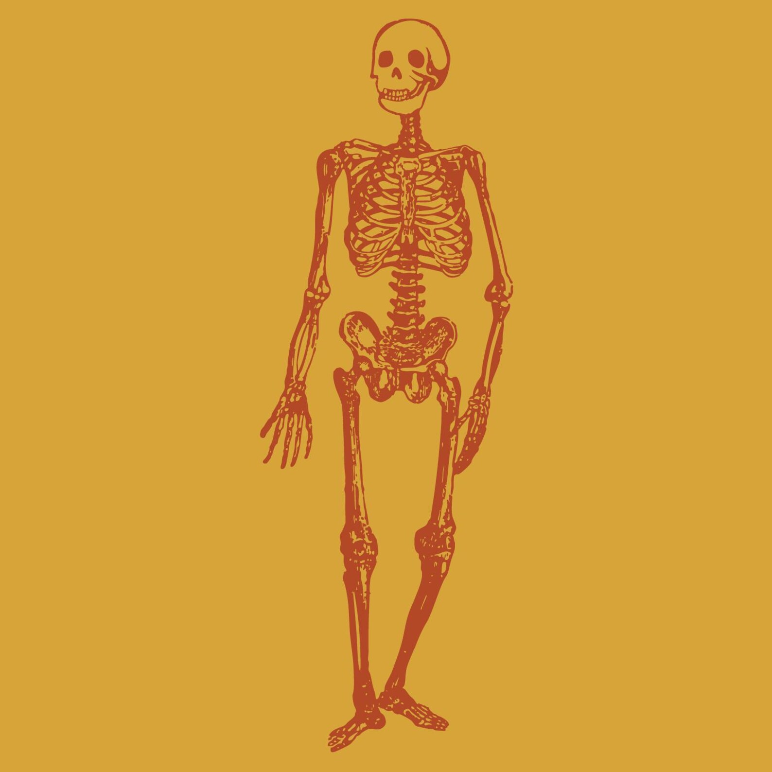 Skeleton Vector Graphic - Jpg Eps Svg Png - Illustration - Etching ...