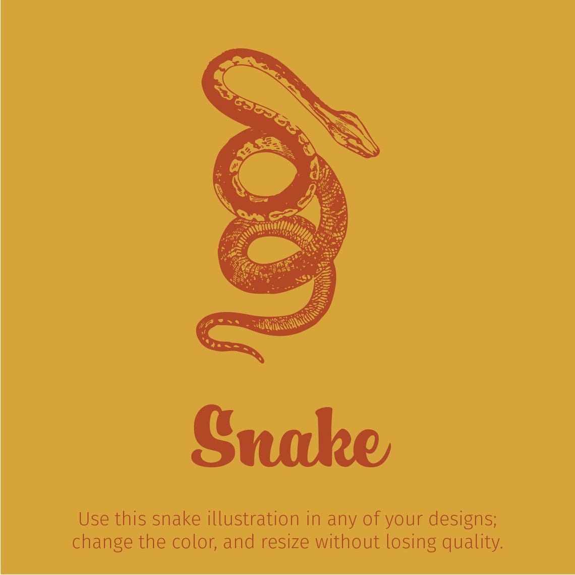 Snake Vector Graphic - Jpg Eps Svg Png - Illustration - Etching Style ...