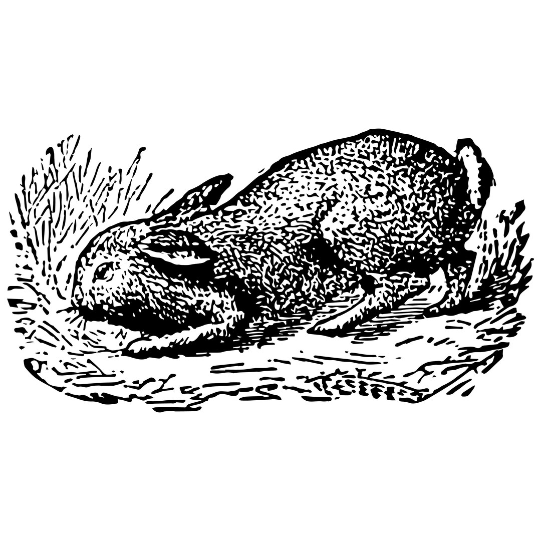 Bunny Eps/vector Graphic - Woodcut Style Art - Vintage & Antique Look ...
