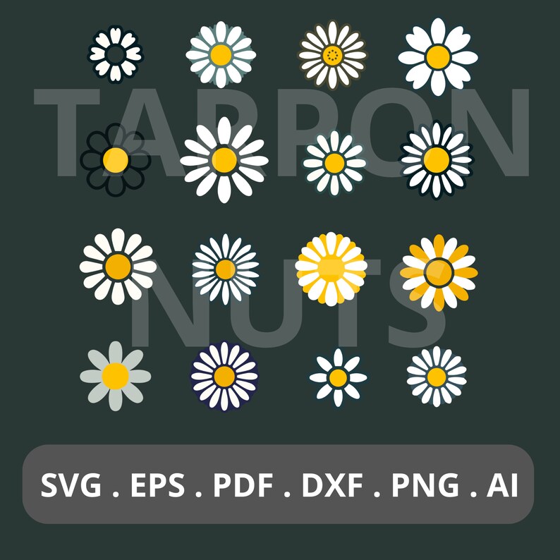 16 Daisy Bundle Svg | Flower Svg | Floral SVG | Retro Flower Shapes Svg ...