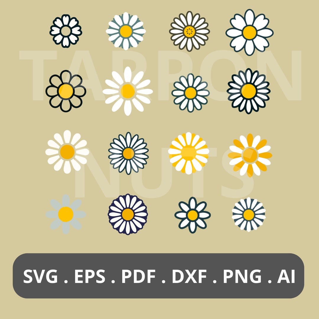 16 Daisy Bundle Svg | Flower Svg | Floral SVG | Retro Flower Shapes Svg ...