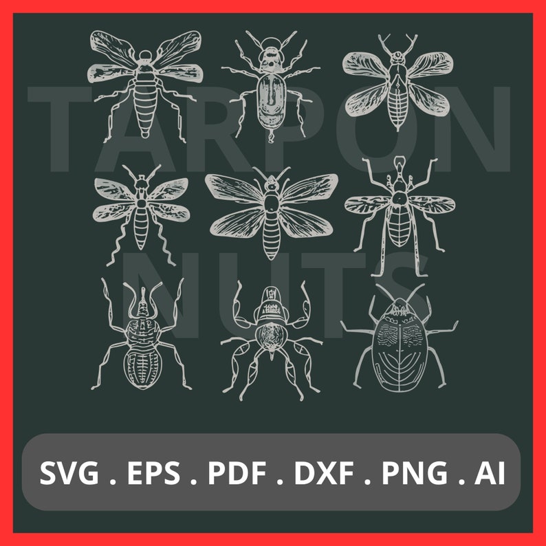 Various Insects Svg | Black and White Insects Png | Insect Anatomy Svg ...