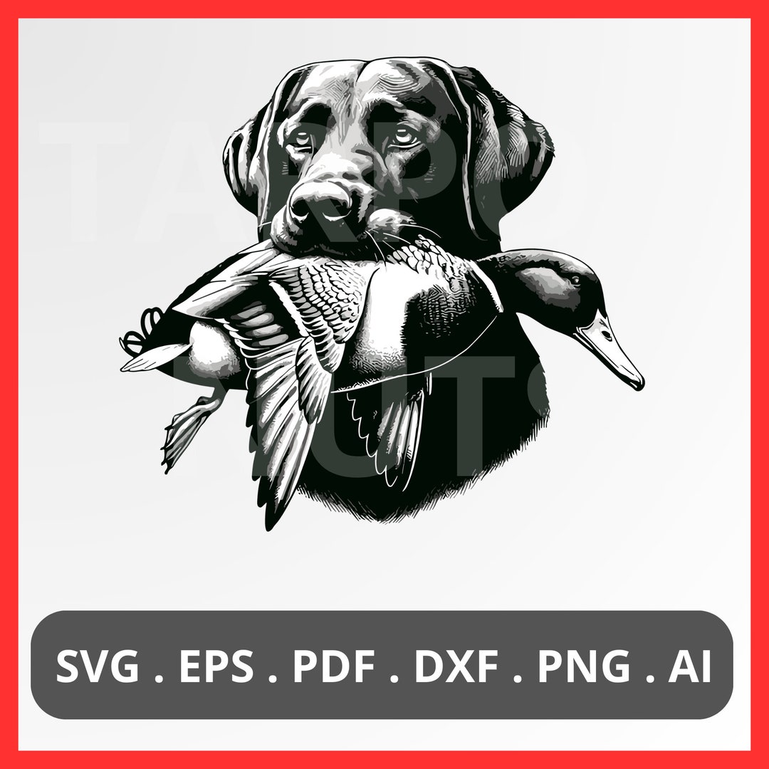 Labrador Hunting Svg | Labrador Hunting Png | Dog Clipart | Duck Hunter ...