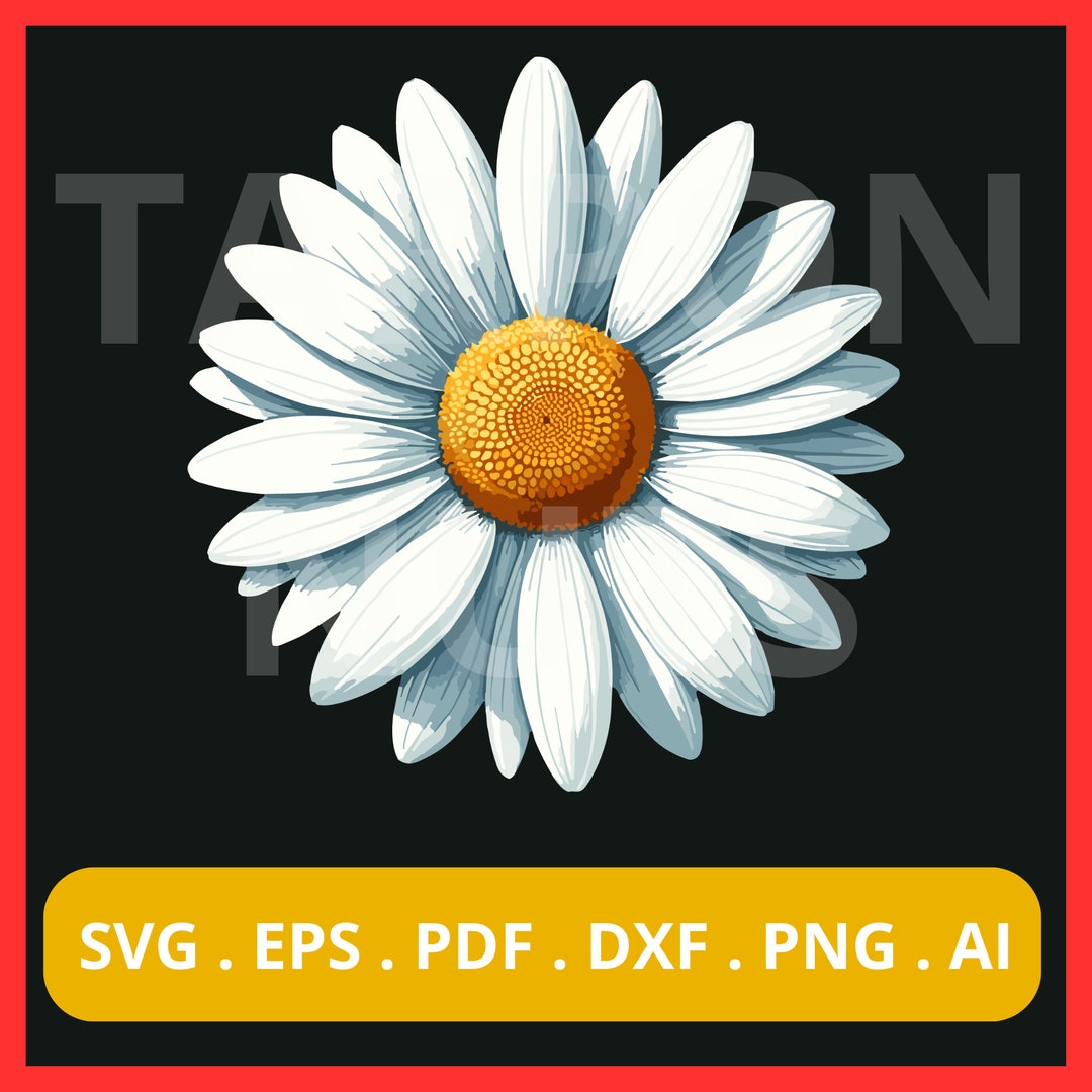 Daisy Svg Daisy Png Daisy Illustration PNG White Petals Flower Image ...