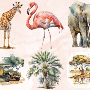 33 PNG Watercolour Safari Animals Clipart Bundle, Jungle Safari PNG ...