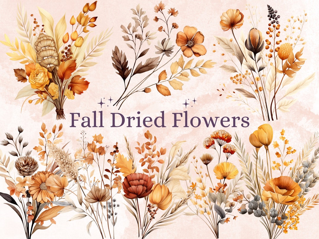 35 PNG Watercolor Fall Dried Flowers Clipart, Autumn Boho Wildflowers ...