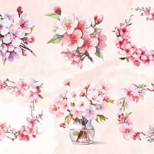 30 PNG Watercolor Cherry Blossom Clipart, Japanese Sakura PNG Clip Art ...