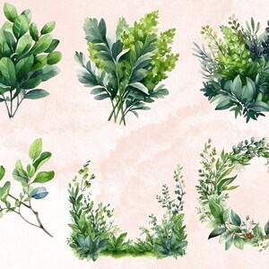 40 PNG Watercolour Greenery Clipart, Botanical PNG Clip Art, Greenery ...