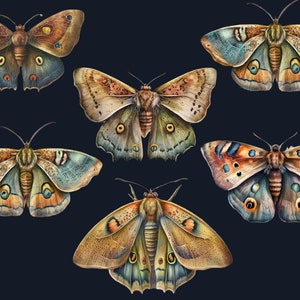 20 PNG Watercolour Retro Moths Clipart, Vintage Moth Clip Art, Retro ...