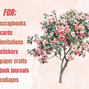 50 PNG Watercolor Spring Woodland Clipart, Floral Spring Forest ...