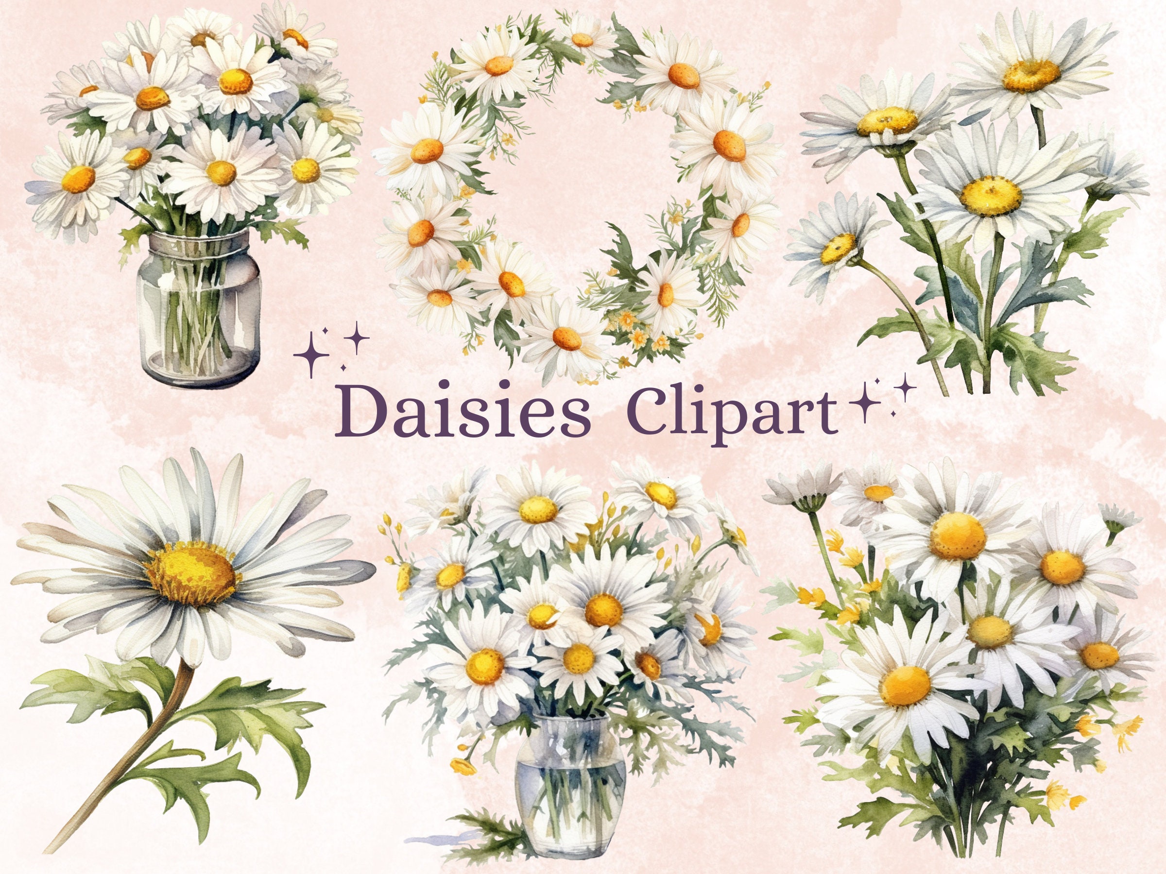 30 PNG Watercolor Daisies Clipart, Daisy PNG Clip Art Bundle, Spring ...