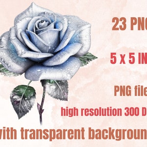 23 PNG Watercolor Silver Roses Clipart Bundle, Silver Colored Floral ...