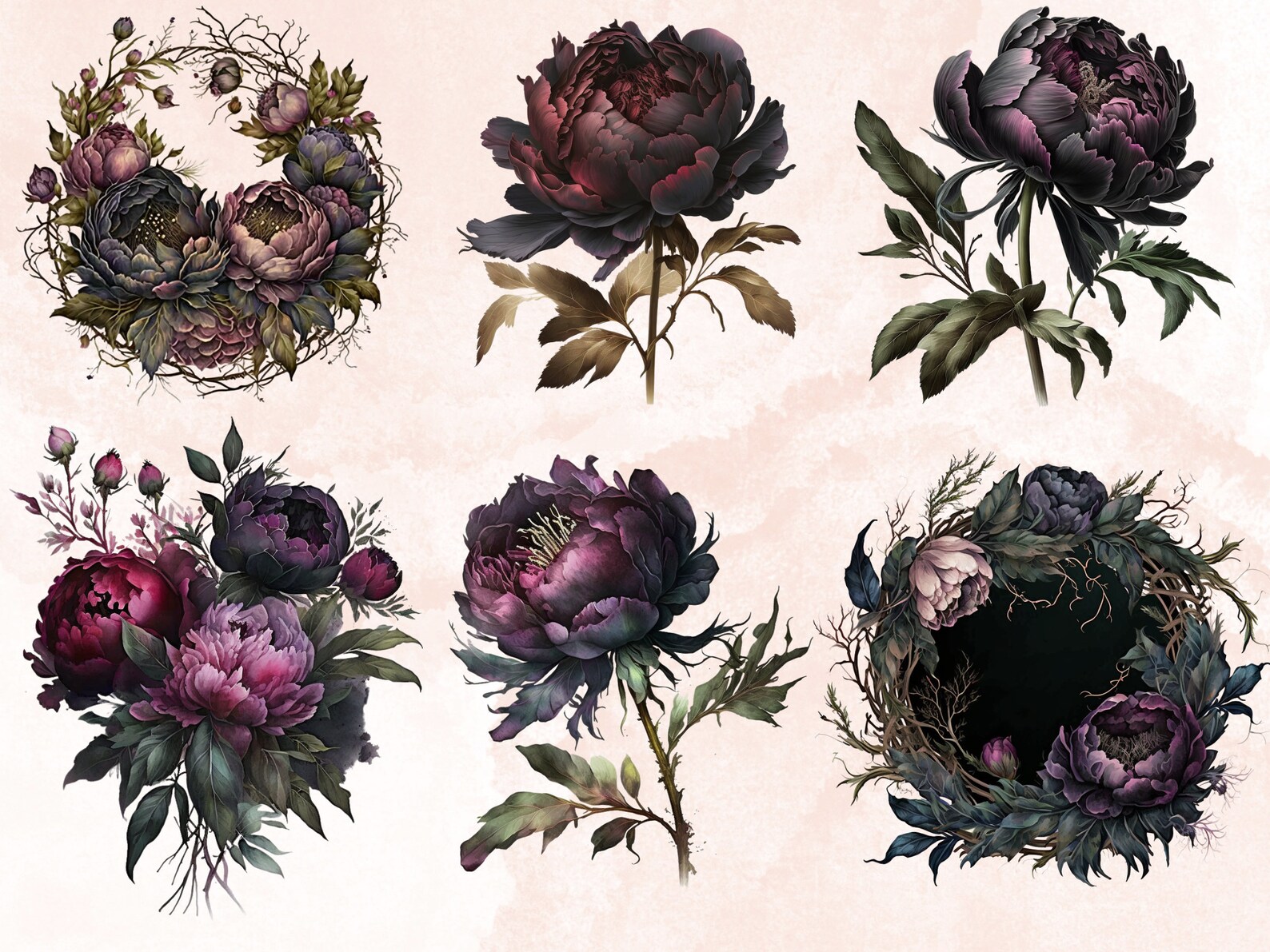 23 PNG Watercolour Gothic Peonies Clipart Gothic Peony Clip - Etsy UK