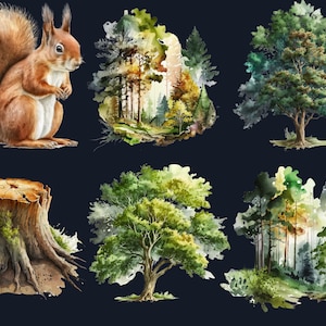 28 PNG Watercolour Woodland Animals Clipart Bundle, Forest Elements ...
