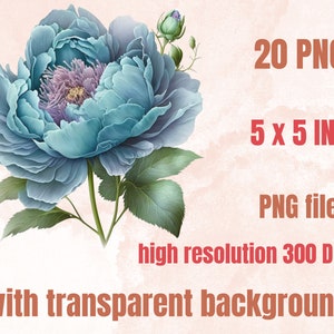20 PNG Watercolor Blue Peonies Clipart, Blue & Navy Peony Clip Art ...