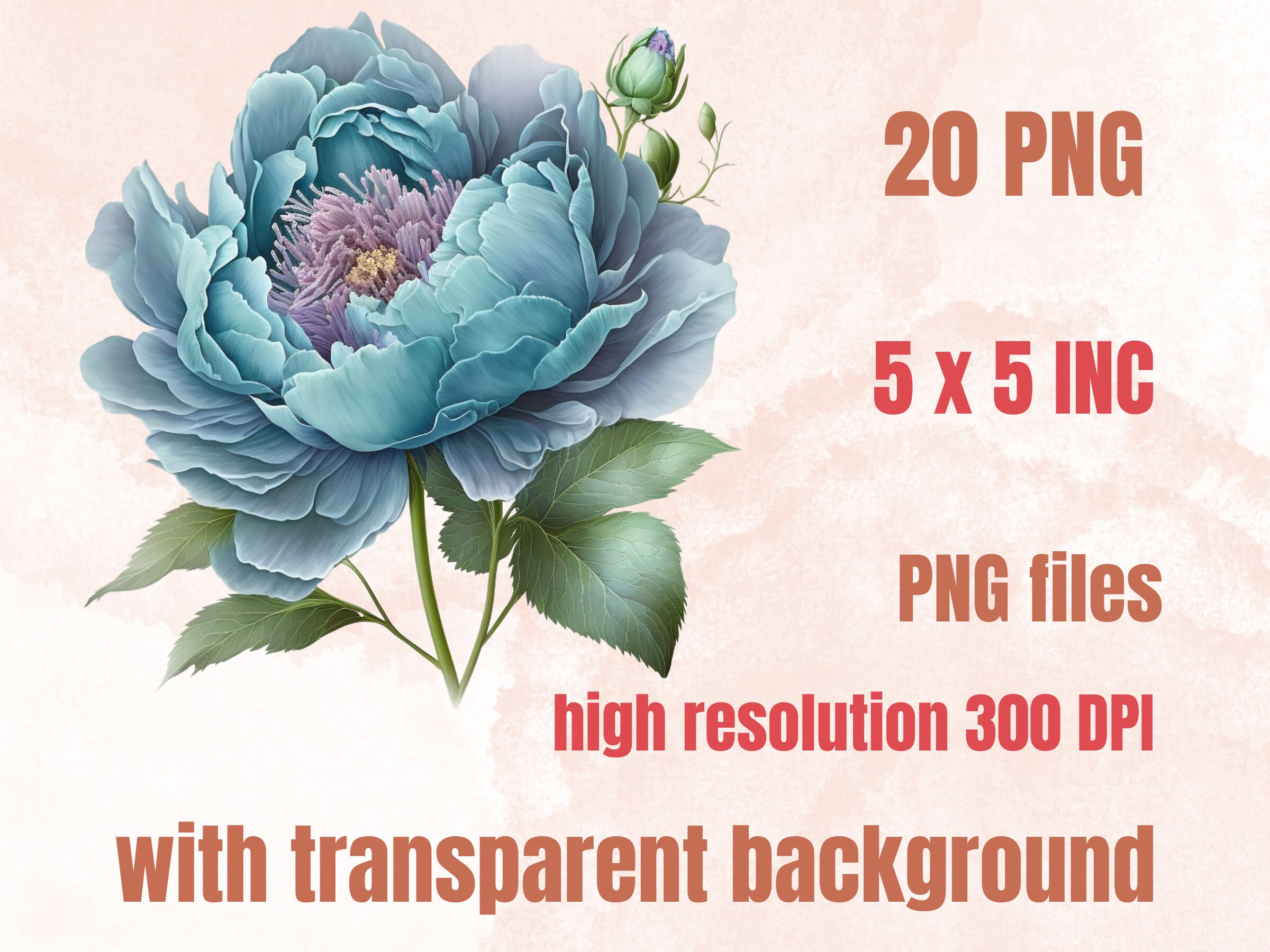 20 PNG Watercolor Blue Peonies Clipart, Blue & Navy Peony Clip Art ...