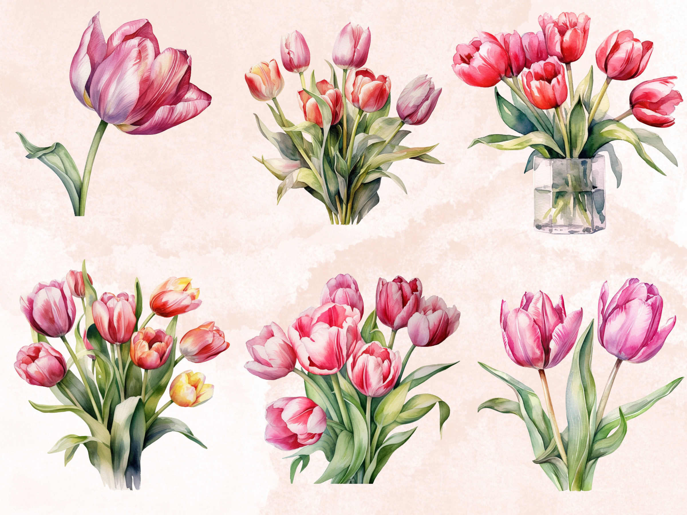 32 PNG Watercolor Tulips Clipart, Tulip PNG Clip Art Bundle, Spring ...