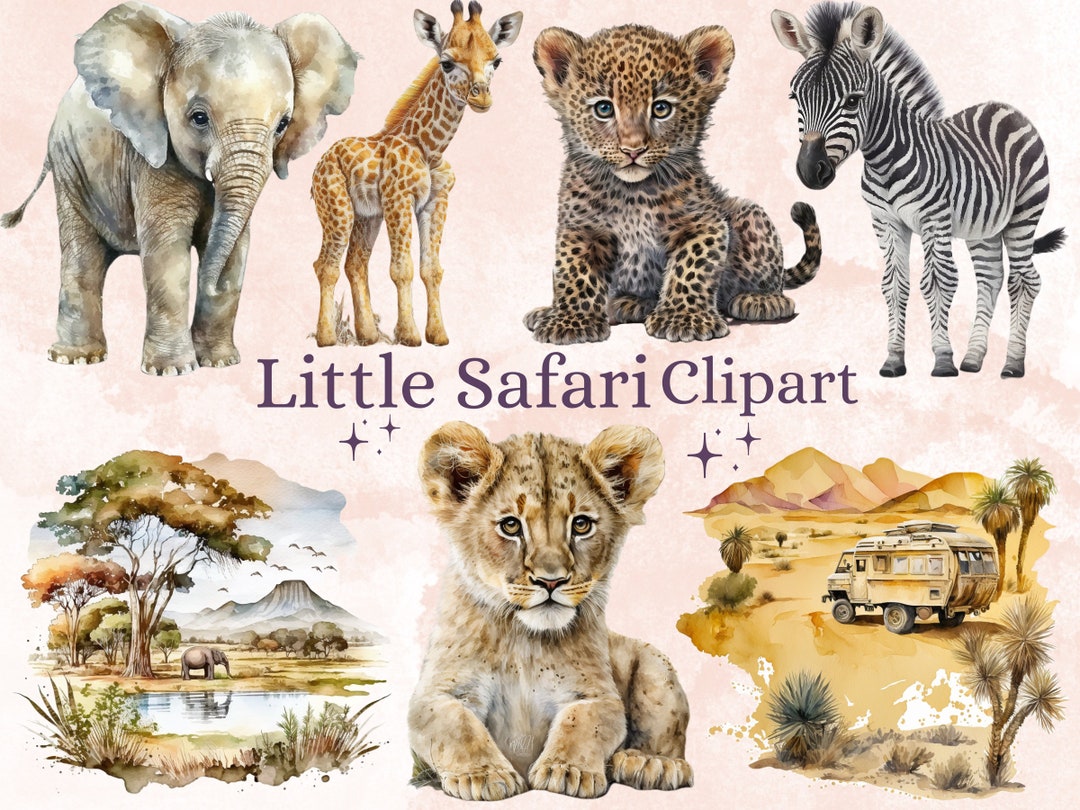 33 PNG Watercolour Safari Baby Animals Clipart, Jungle Safari PNG ...