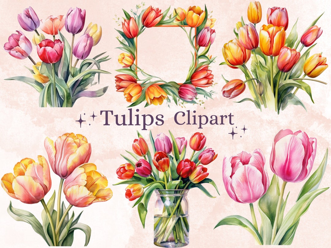 32 PNG Watercolor Tulips Clipart, Tulip PNG Clip Art Bundle, Spring ...