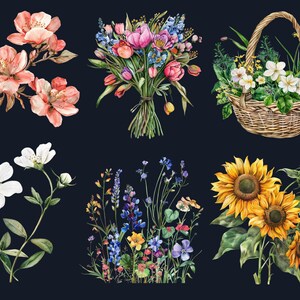 50 PNG Watercolor Spring Flowers Clipart, Floral Spring Meadow ...