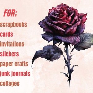 30 PNG Watercolor Gothic Roses Clipart Bundle, Dark Fantasy Roses PNG ...