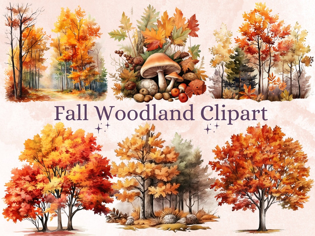 32 PNG Watercolor Fall Woodland Clipart, Autumn Forest Illustrations ...