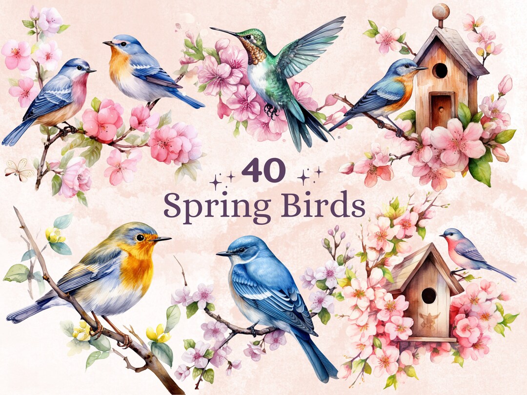 40 PNG Watercolor Spring Birds Clipart, Floral Spring Birdhouse ...