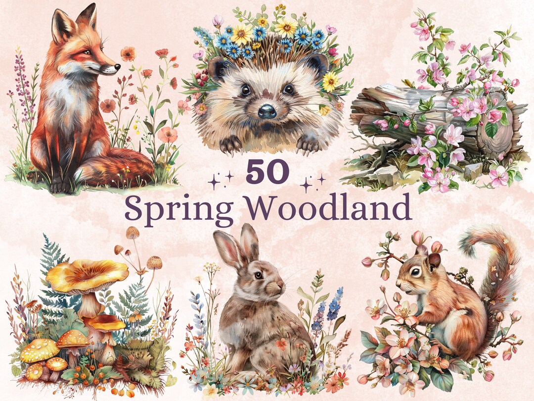 50 PNG Watercolor Spring Woodland Clipart, Floral Spring Forest ...