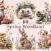 50 PNG Watercolor Spring Woodland Clipart, Floral Spring Forest ...