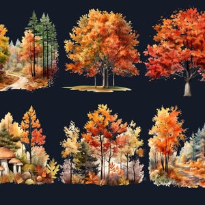 32 PNG Watercolor Fall Woodland Clipart, Autumn Forest Illustrations ...