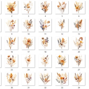 35 PNG Watercolor Fall Dried Flowers Clipart, Autumn Boho Wildflowers ...