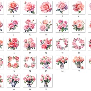 32 PNG Watercolor Pink Roses Clipart Bundle, Blush Rose PNG Clip Art ...