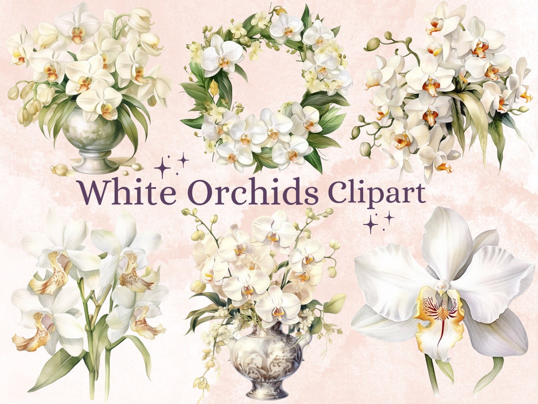30 PNG Watercolor White Orchids Clipart, Orchid PNG Clip Art Bundle ...